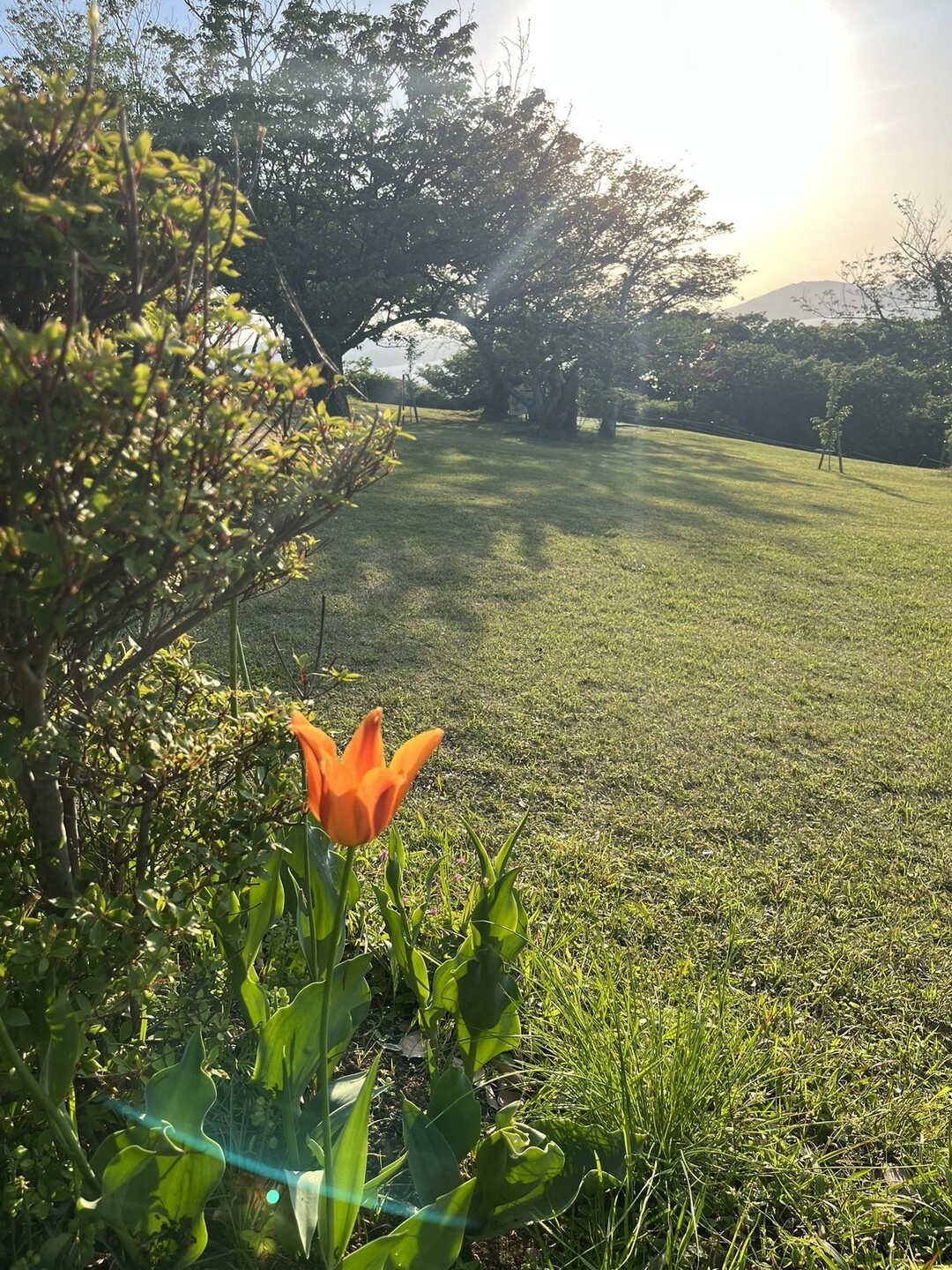 Nokonoshima Island- No YAMAP Mountain Stamp? C’mon!-2023-04-30 / mossybongoさんの【公式】福岡市（防災情報含む）の活動 ...