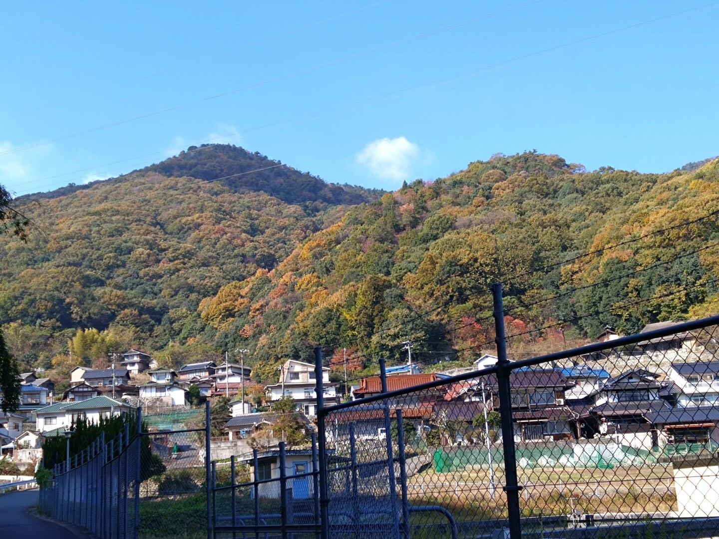 朝日山 / ふみよさんの朝日山・鷹ノ巣山の活動データ | YAMAP / ヤマップ