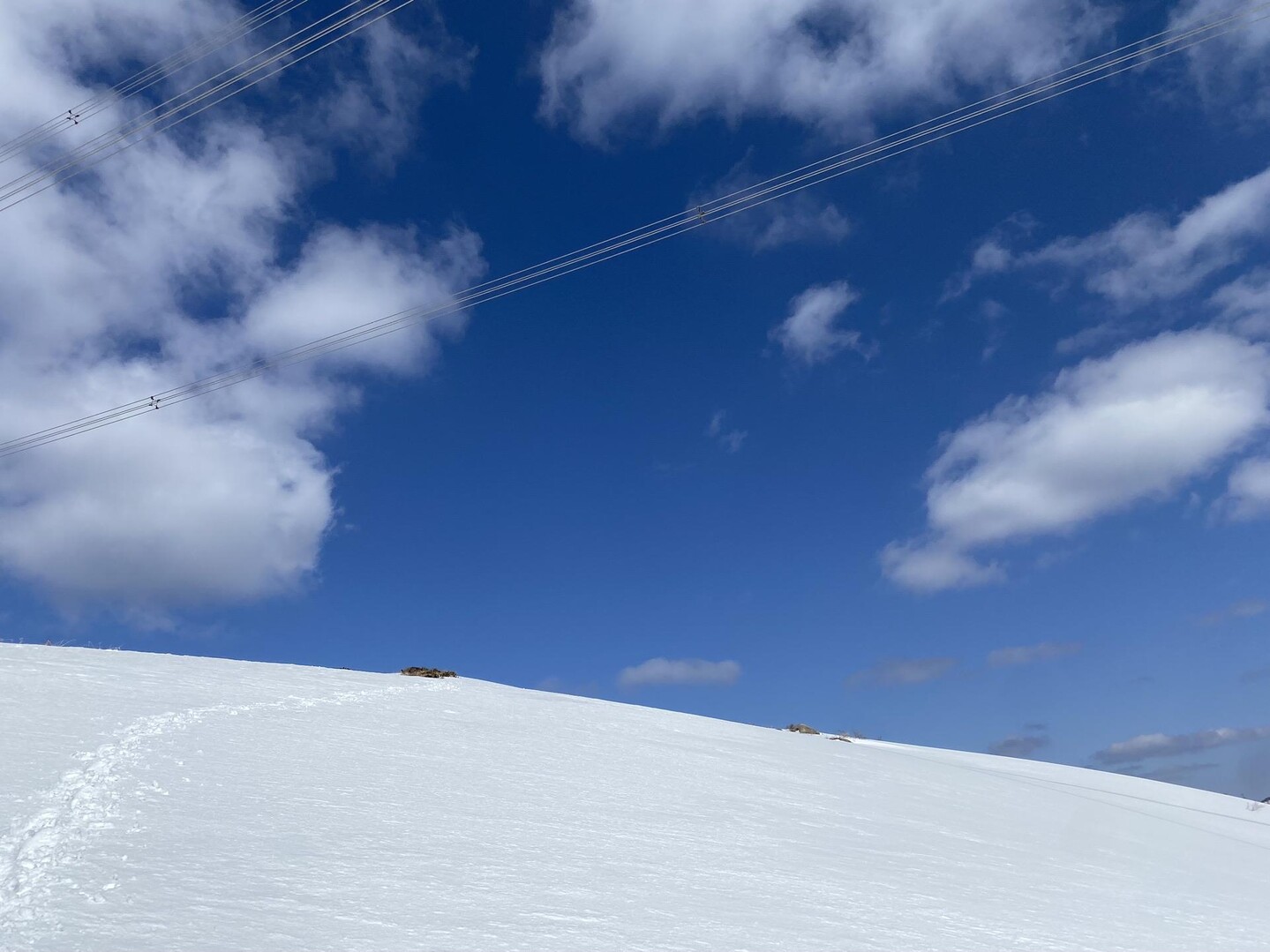 赤坂山 / yu-koさんの三国山・乗鞍岳・赤坂山の活動データ | YAMAP / ヤマップ