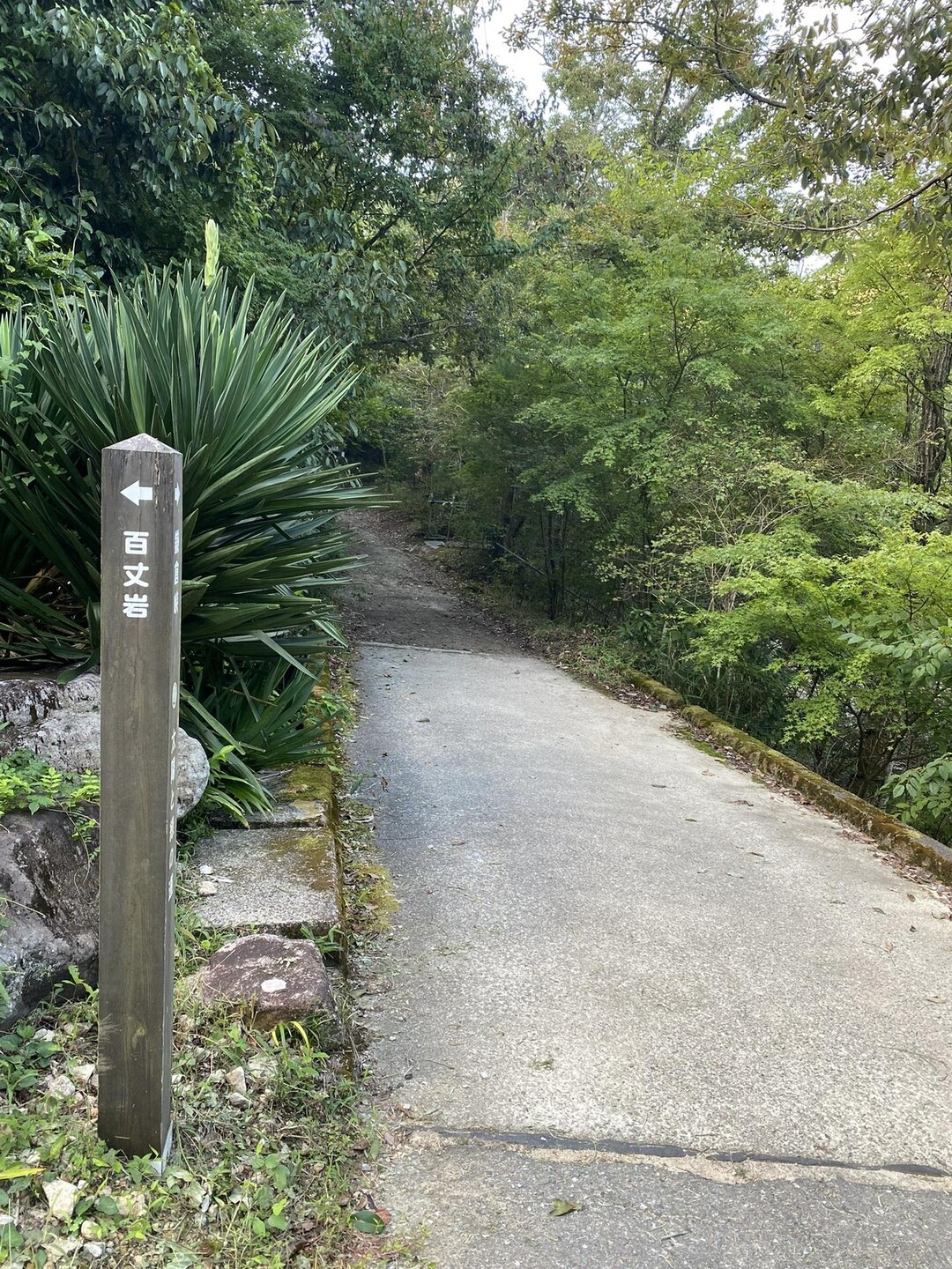 静ケ池〜百丈岩 / kunさんの百丈岩・鎌倉峡の活動データ | YAMAP / ヤマップ