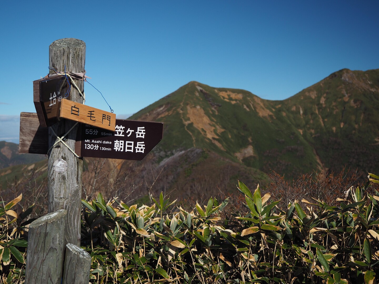 白毛門（秋）🍁 / Powさんの朝日岳の活動データ | YAMAP / ヤマップ