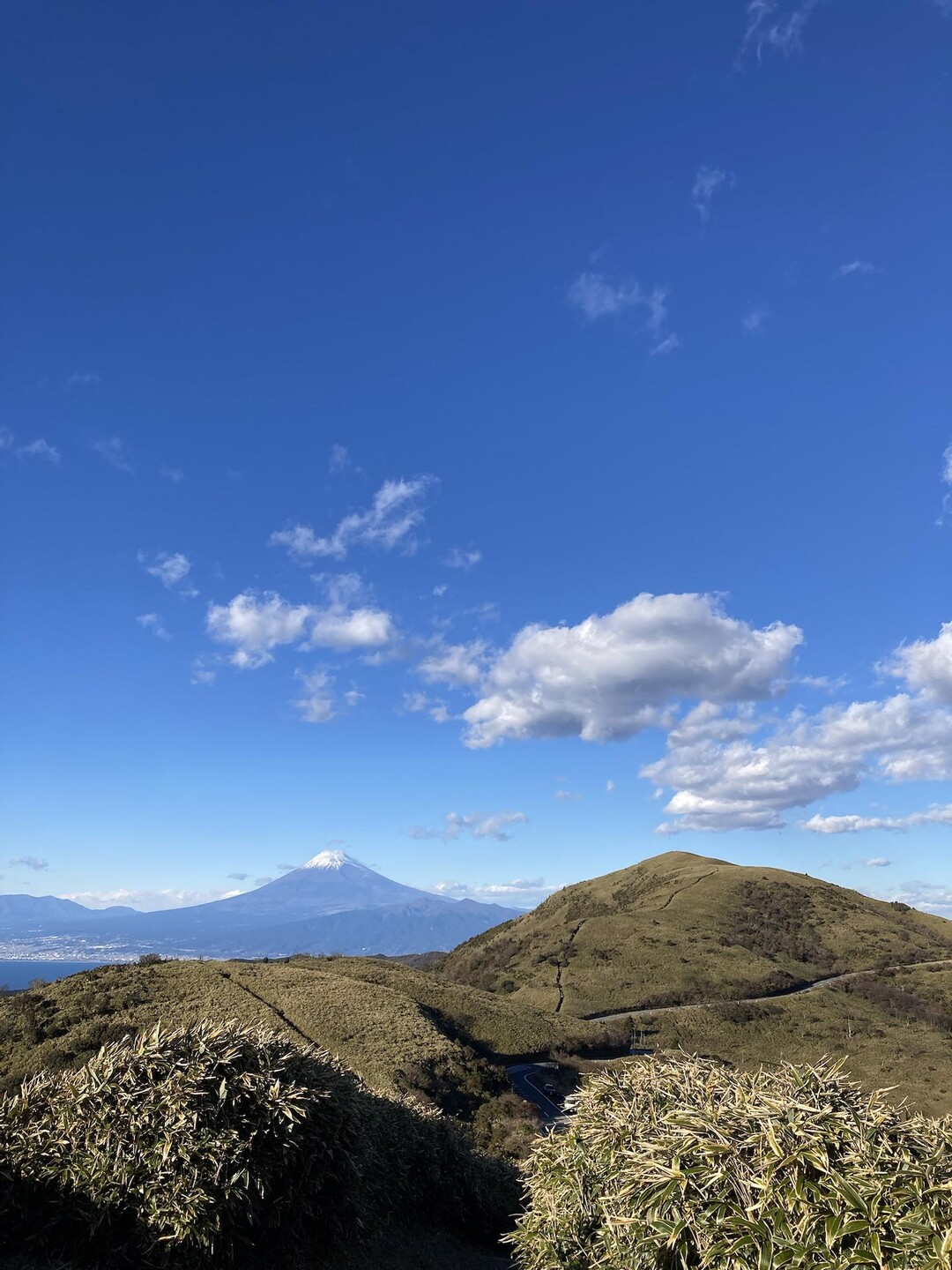 ITJ(伊豆トレイルジャーニー)70k / たけCyさんの長九郎山の活動データ | YAMAP / ヤマップ