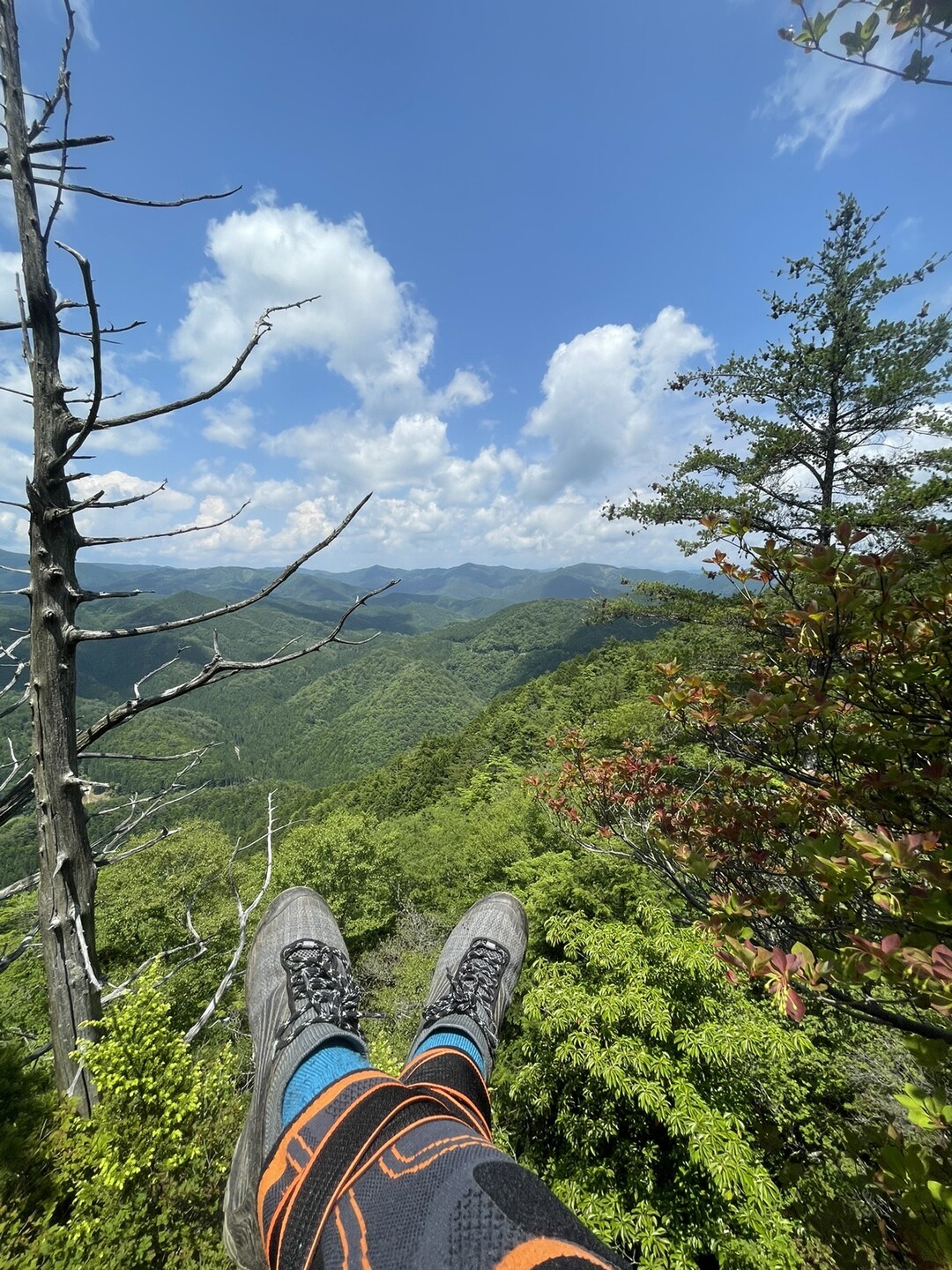 白鳥山 / kawasakix.ggさんの大峠の活動データ | YAMAP / ヤマップ