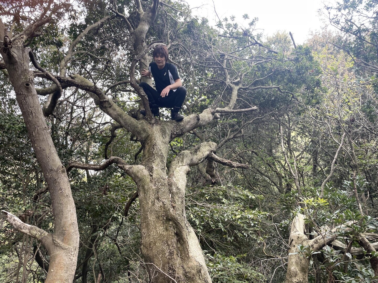 『おっぱい岩💕』で木登り後の栄養補給🌟動画あり🌟片縄山・猿山・糠塚山 / ike noriさんの油山・荒平山・片縄山の活動データ | YAMAP / ヤマップ