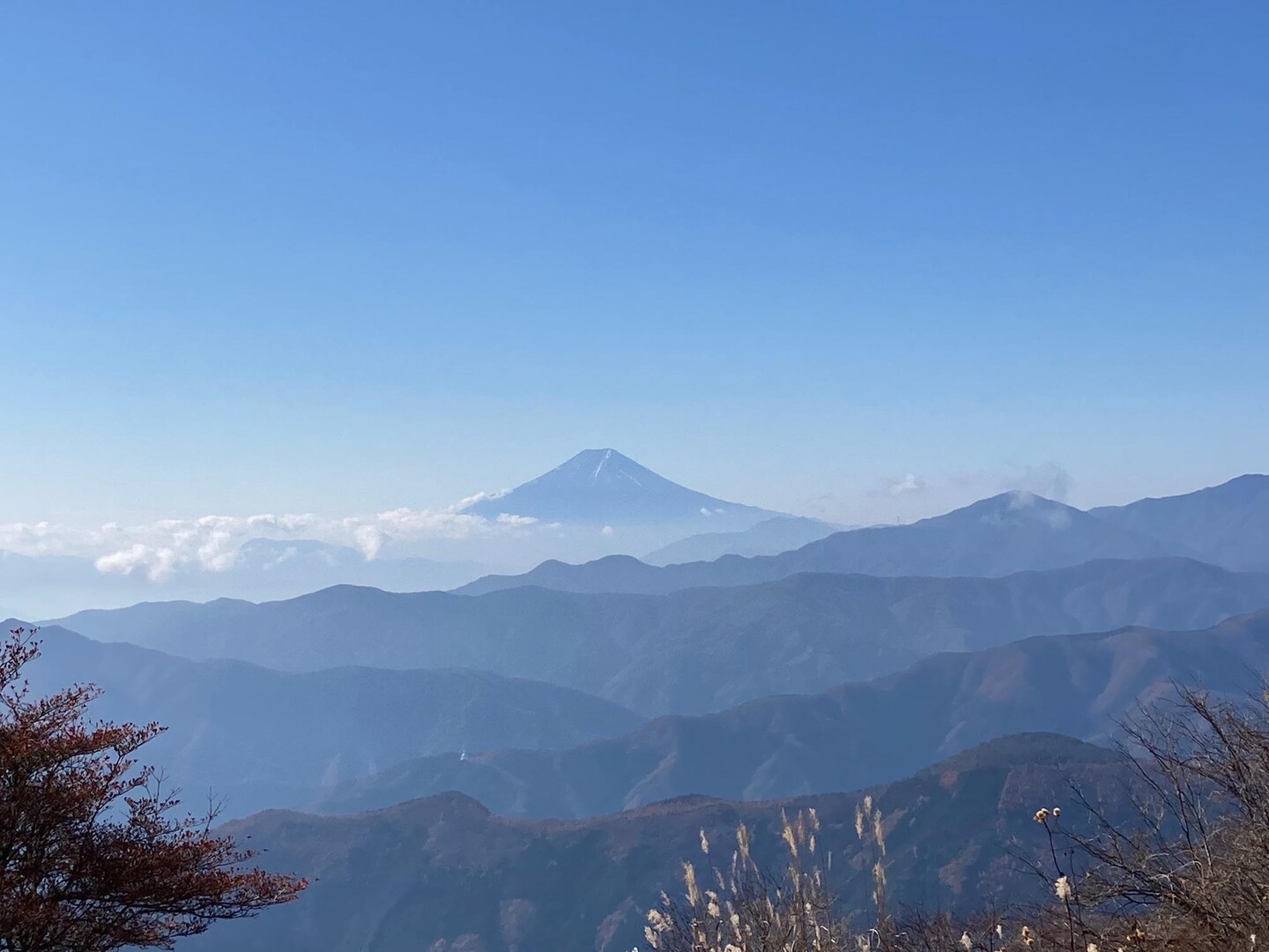 20221112 倉戸山〜鷹巣山〜石尾根〜奥多摩駅 / ジャンダルムさんの雲取山・鷹ノ巣山・七ツ石山の活動データ | YAMAP / ヤマップ