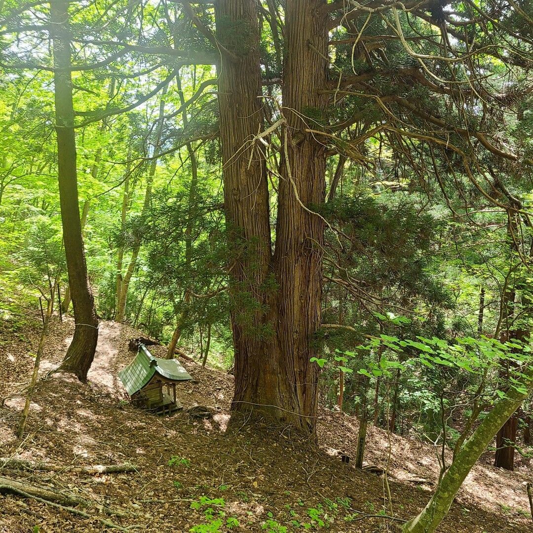 岩手 卯子酉山 / hide-bonさんの卯子酉山の活動データ | YAMAP / ヤマップ