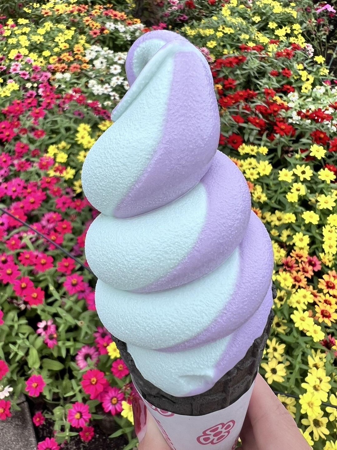 10月6日 娘と新屋山神社に行ってきまし... / momoさんのモーメント | YAMAP / ヤマップ