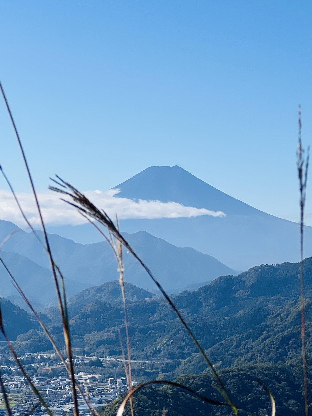 岩殿山 & 天神山 / Amy(エイミー)さんの雁ヶ腹摺山・岩殿山の活動データ | YAMAP / ヤマップ