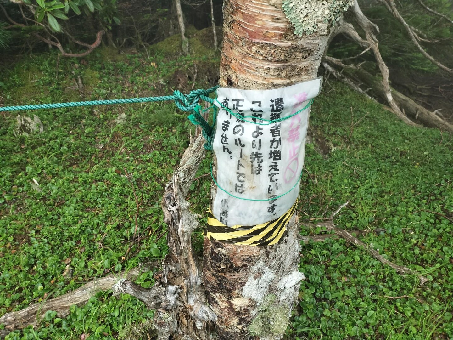 こばいちさんの投稿したフィールドメモ | YAMAP / ヤマップ