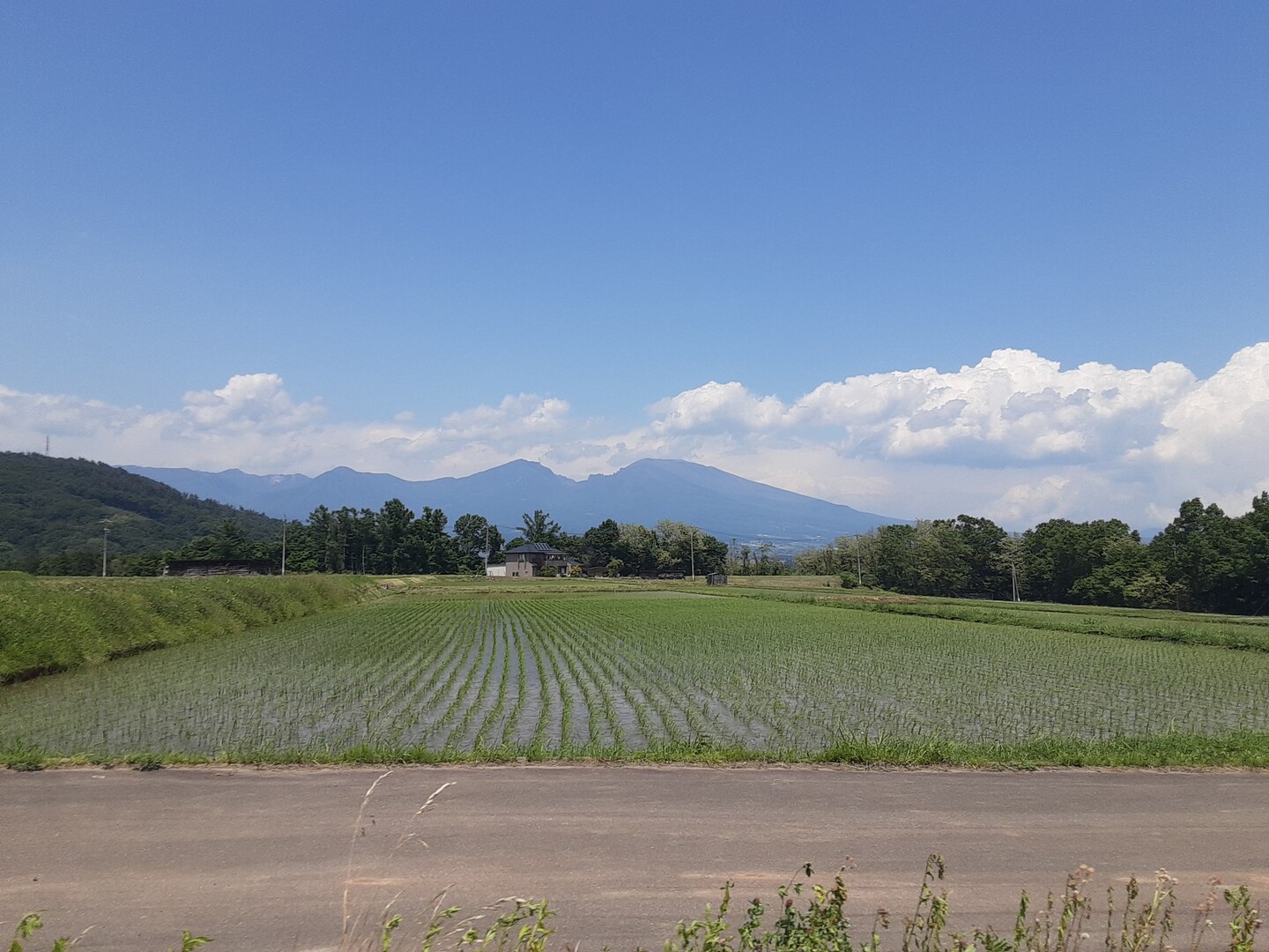車窓から、田んぼと綺麗な山🗻 何て言う... / mokoさんのモーメント | YAMAP / ヤマップ