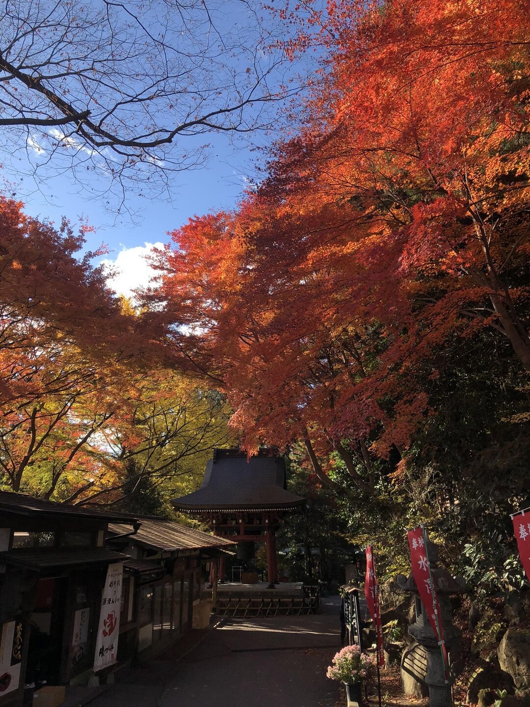 浅間山(水沢山)2 / ch!saさんの榛名山・天狗山・天目山の活動データ | YAMAP / ヤマップ