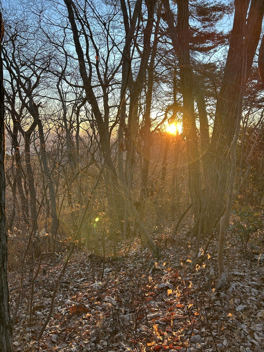 天狗鳥屋・長倉山・540P・斑根石山・古賀志山・御嶽山・坊主山 / なみおさんの榛名山・天狗山・天目山の活動データ | YAMAP / ヤマップ