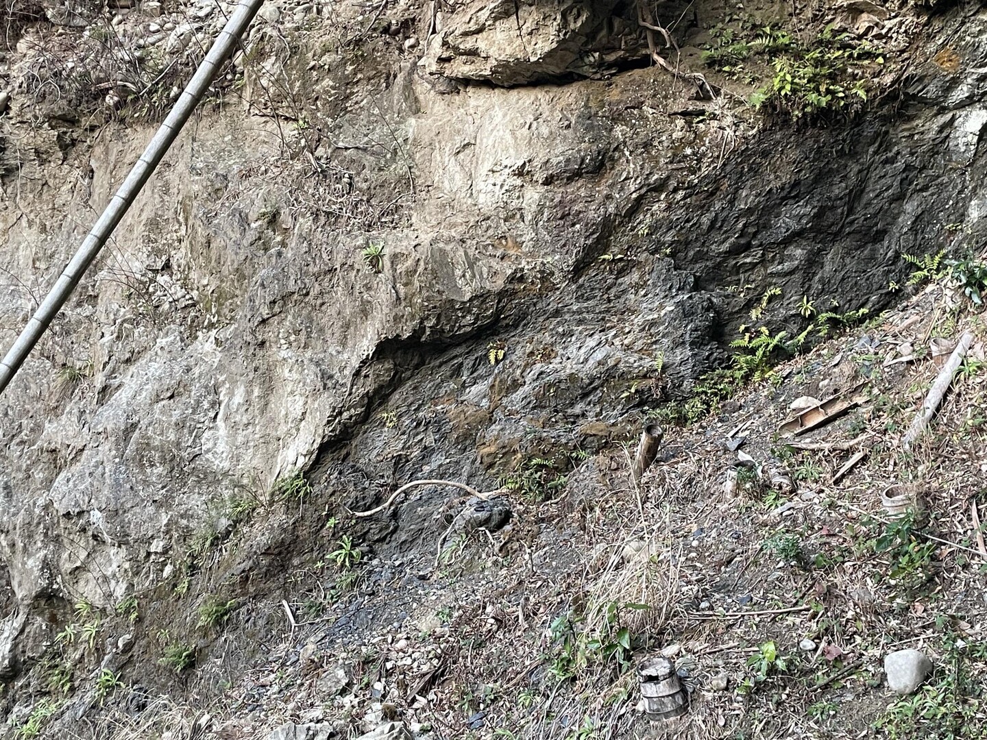 【中央構造線長篠露頭】 西南日本を貫く大... / t24riverさんのモーメント | YAMAP / ヤマップ