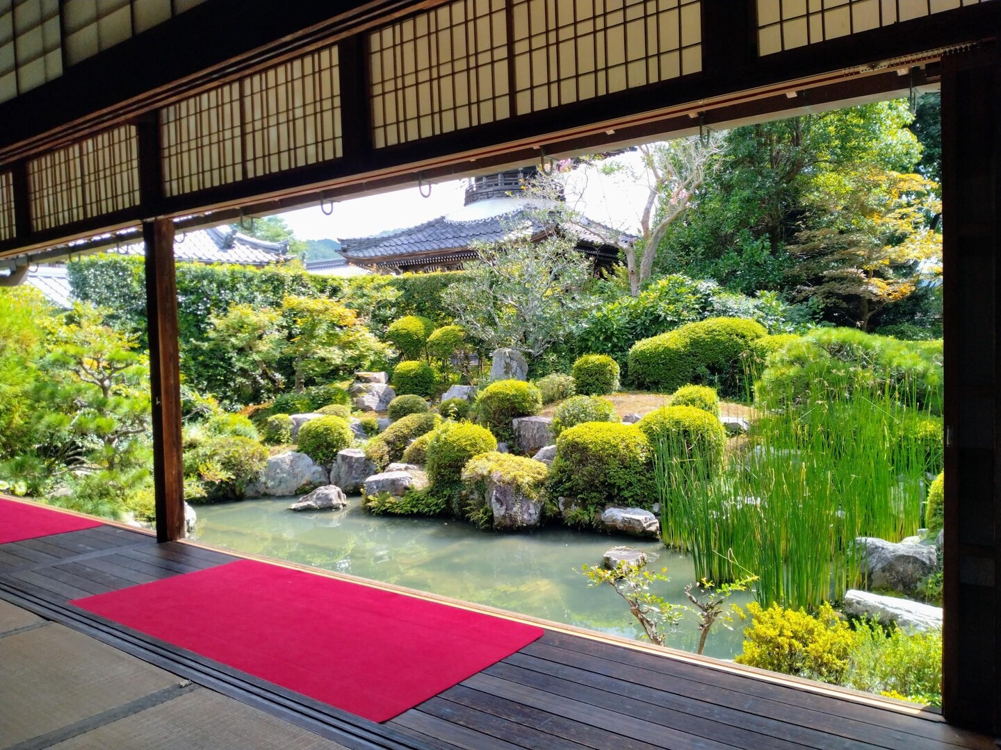 昨日は 亀岡の穴太寺へ。今日は 梅小路公... / YT9さんのモーメント | YAMAP / ヤマップ