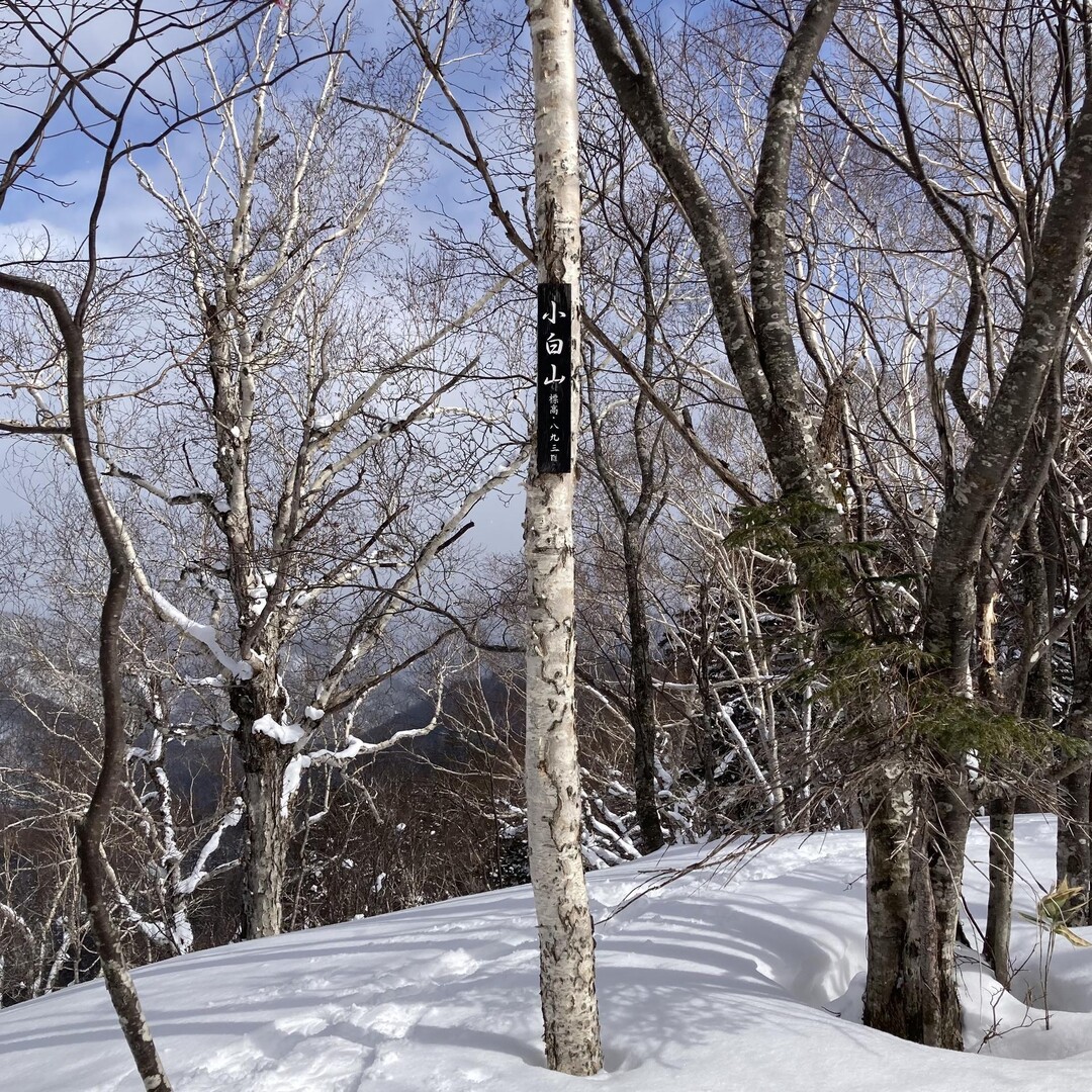 小白山 / TANさんの無意根山の活動データ | YAMAP / ヤマップ