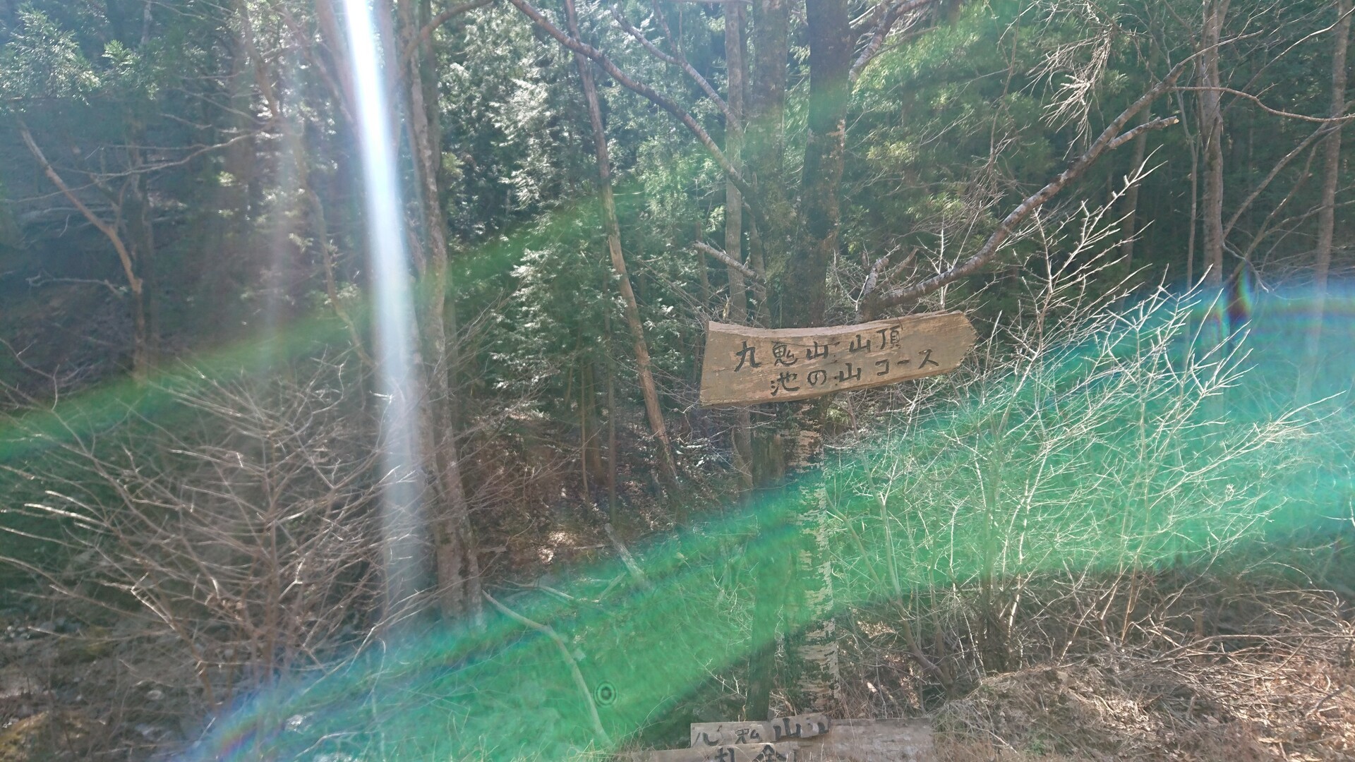 九鬼山（天狗岩） / Yos 8611さんの倉岳山・高畑山・九鬼山の活動データ | YAMAP / ヤマップ