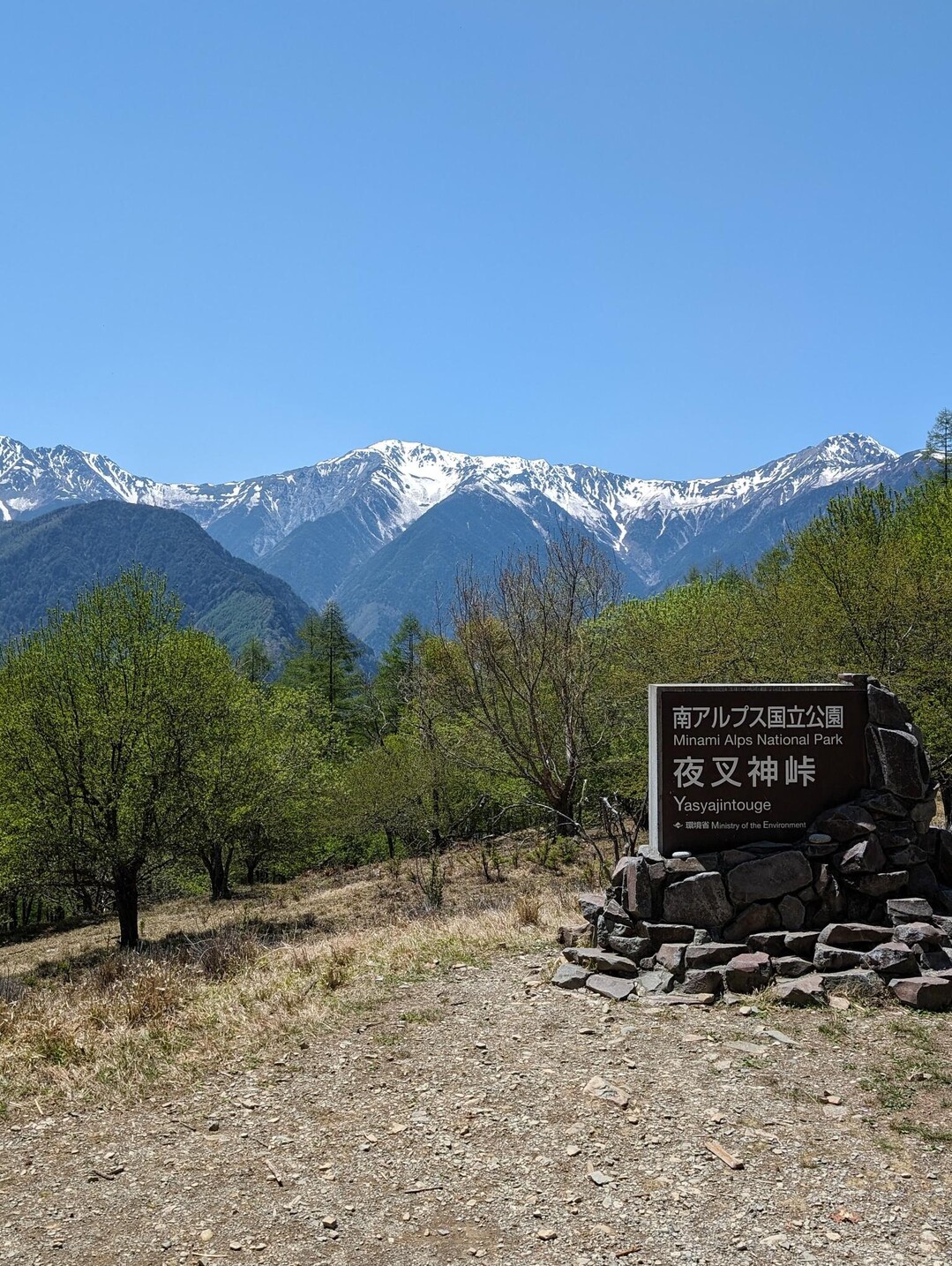 夜叉神峠の新緑進みました。2024.5.... / senさんのモーメント | YAMAP / ヤマップ