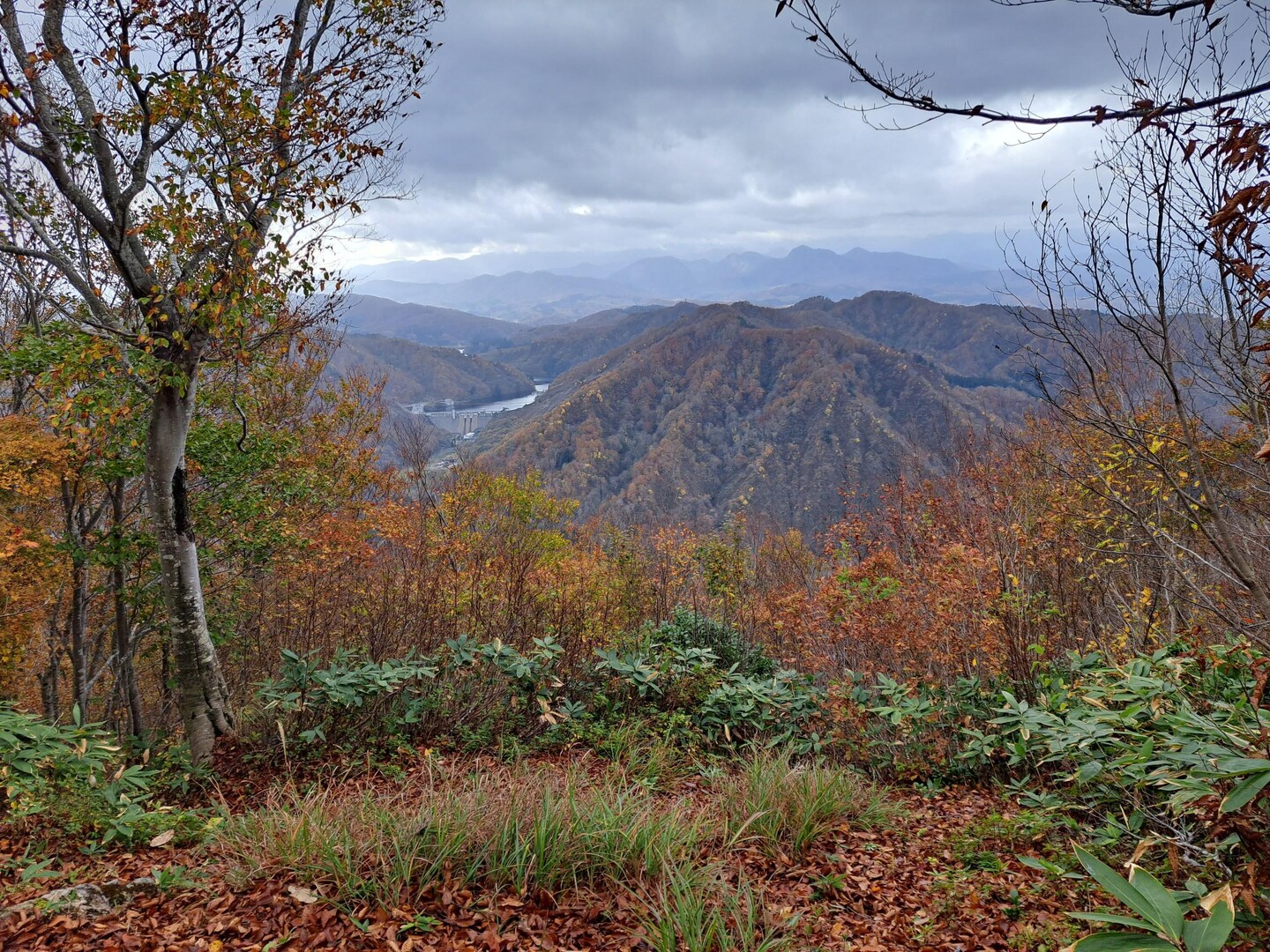 百石山(標高599m) / きぼっこさんの小国町の活動データ | YAMAP / ヤマップ