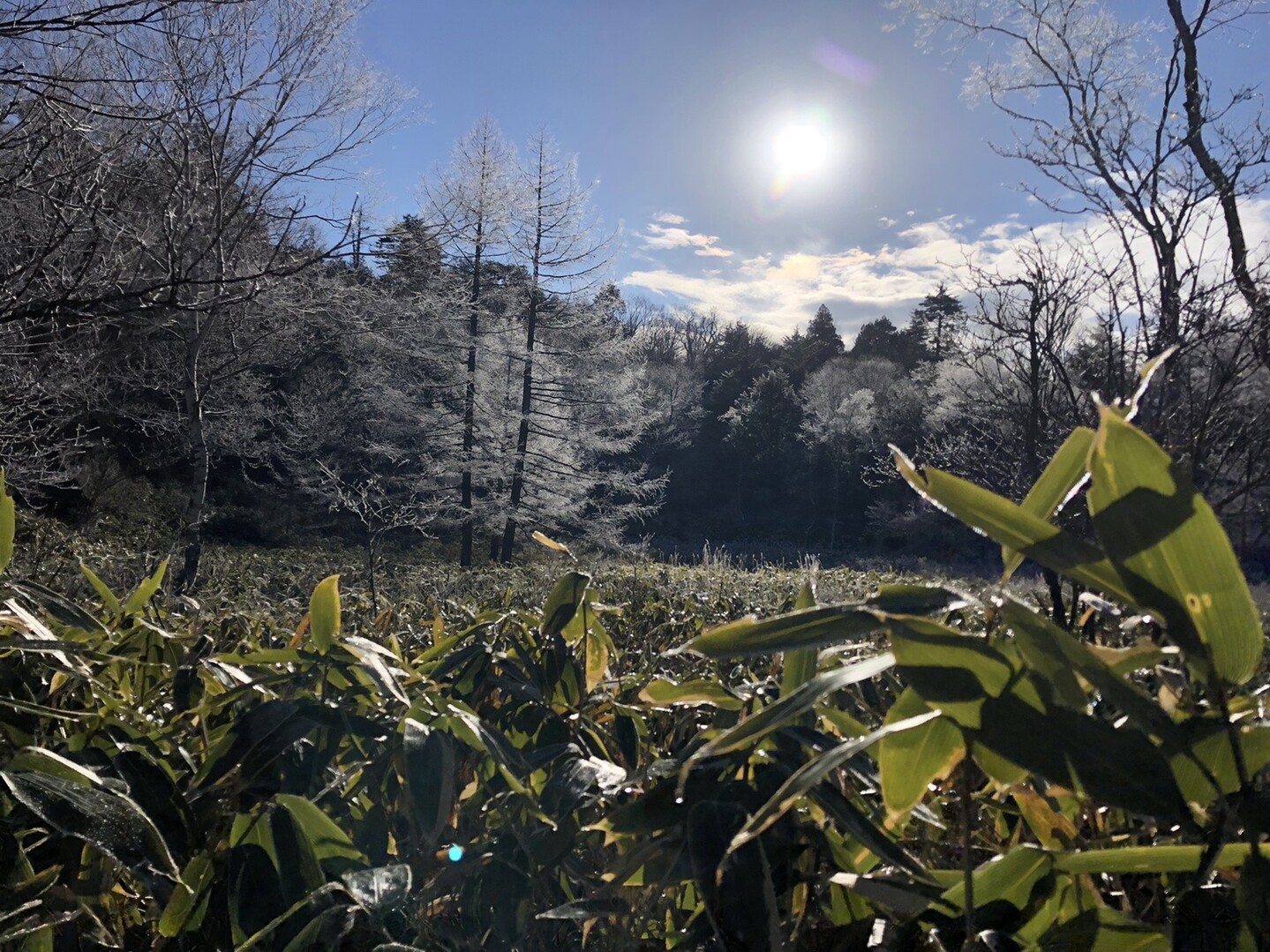 草津殺生河原-2020-12-06 / KIYAtさんの草津白根山・湯釜の活動データ | YAMAP / ヤマップ