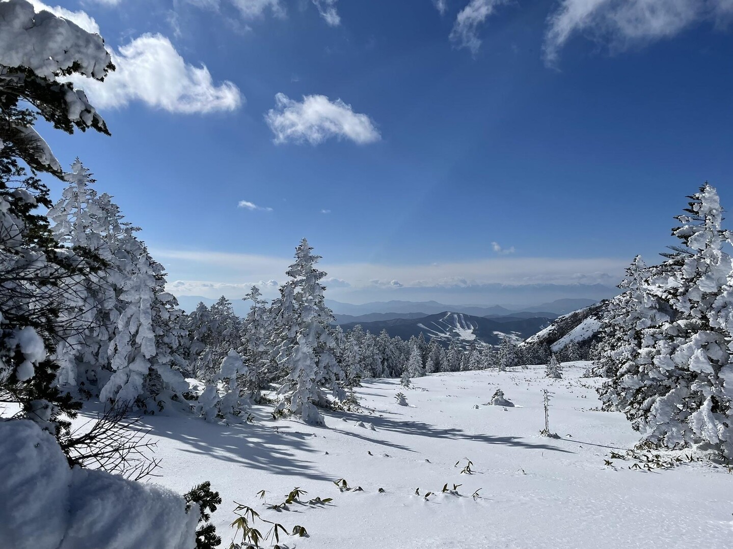 小四阿・中四阿・四阿山・根子岳 / JIROさんの四阿山・根子岳の活動データ | YAMAP / ヤマップ