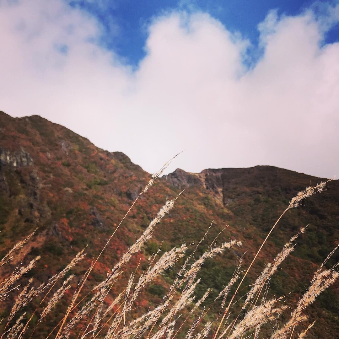 2021/10月2日晴れ曇り #ハイキン... / KATU白河さんのモーメント | YAMAP / ヤマップ