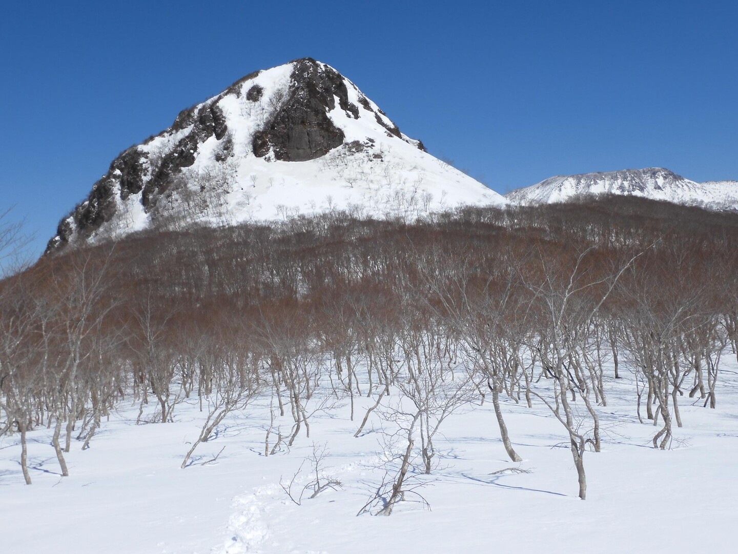 山形県 仙台カゴ1270m～船形山(御所山)1500.1m / dyyyさんの船形山（御所山）・泉ヶ岳・蛇ヶ岳の活動データ | YAMAP / ヤマップ