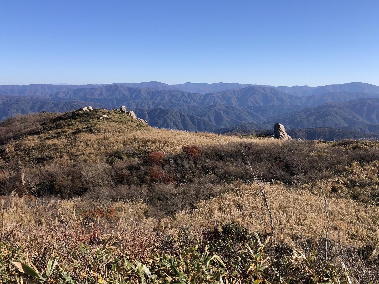 奥野山・岩籠山 / むーさんの岩籠山の活動データ | YAMAP / ヤマップ