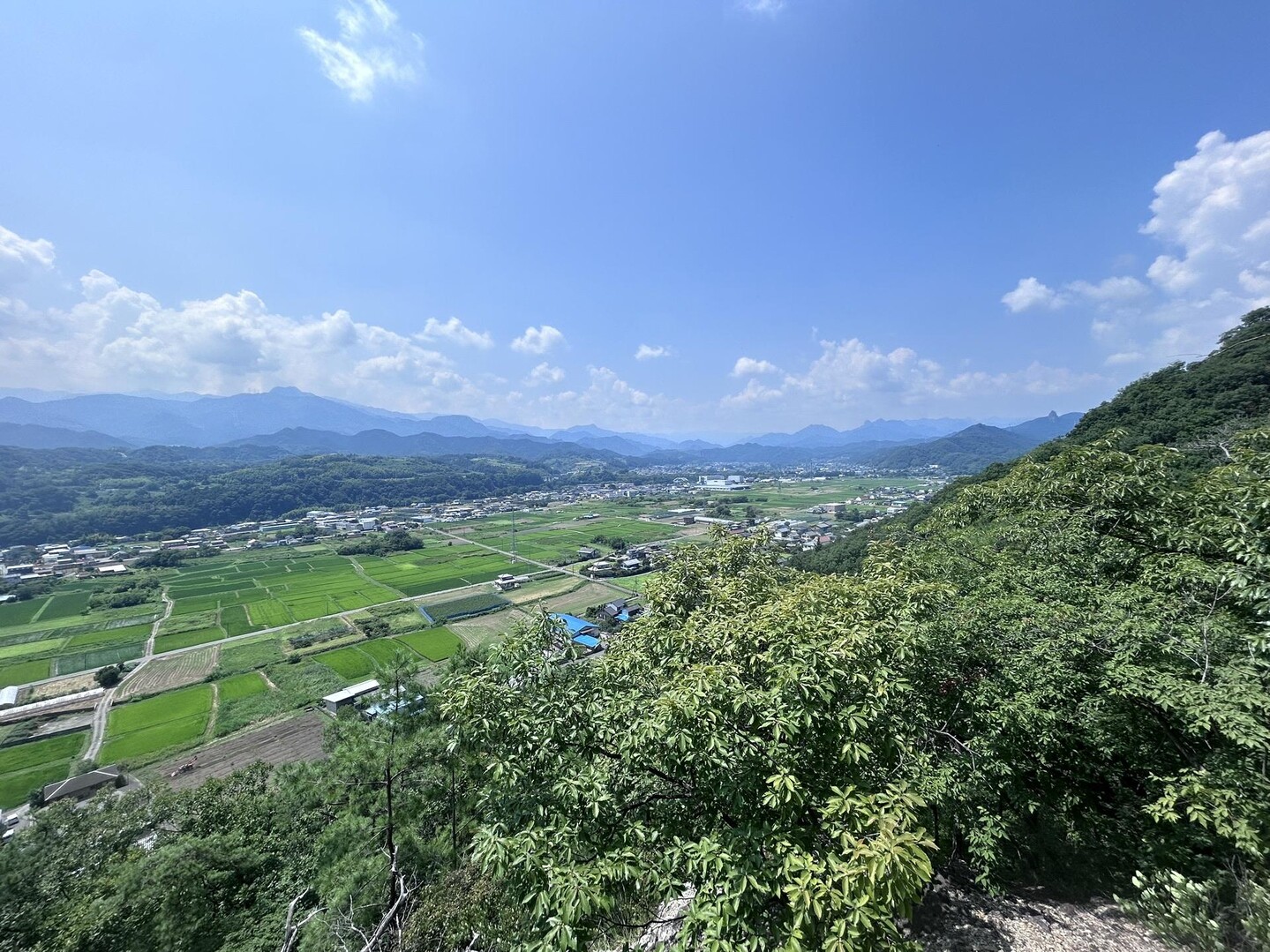 富岡アルプス九連峰43-2024-08-09 / KARINAさんのウォーキングの活動データ | YAMAP / ヤマップ