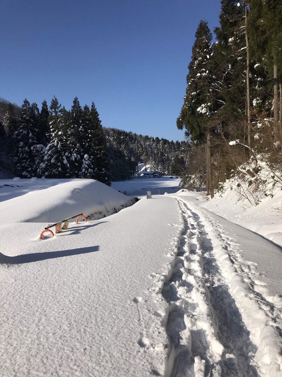 登り始めは八石山 2022/1/2 / Lilyさんのモーメント | YAMAP / ヤマップ