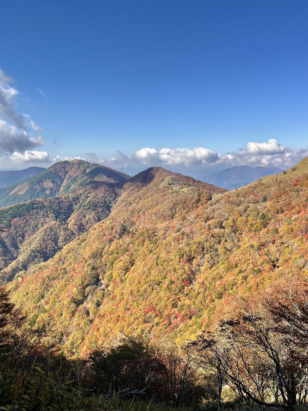 落禿・前烏帽子山・烏帽子山 / RUBYさんの寒峰の活動データ | YAMAP / ヤマップ