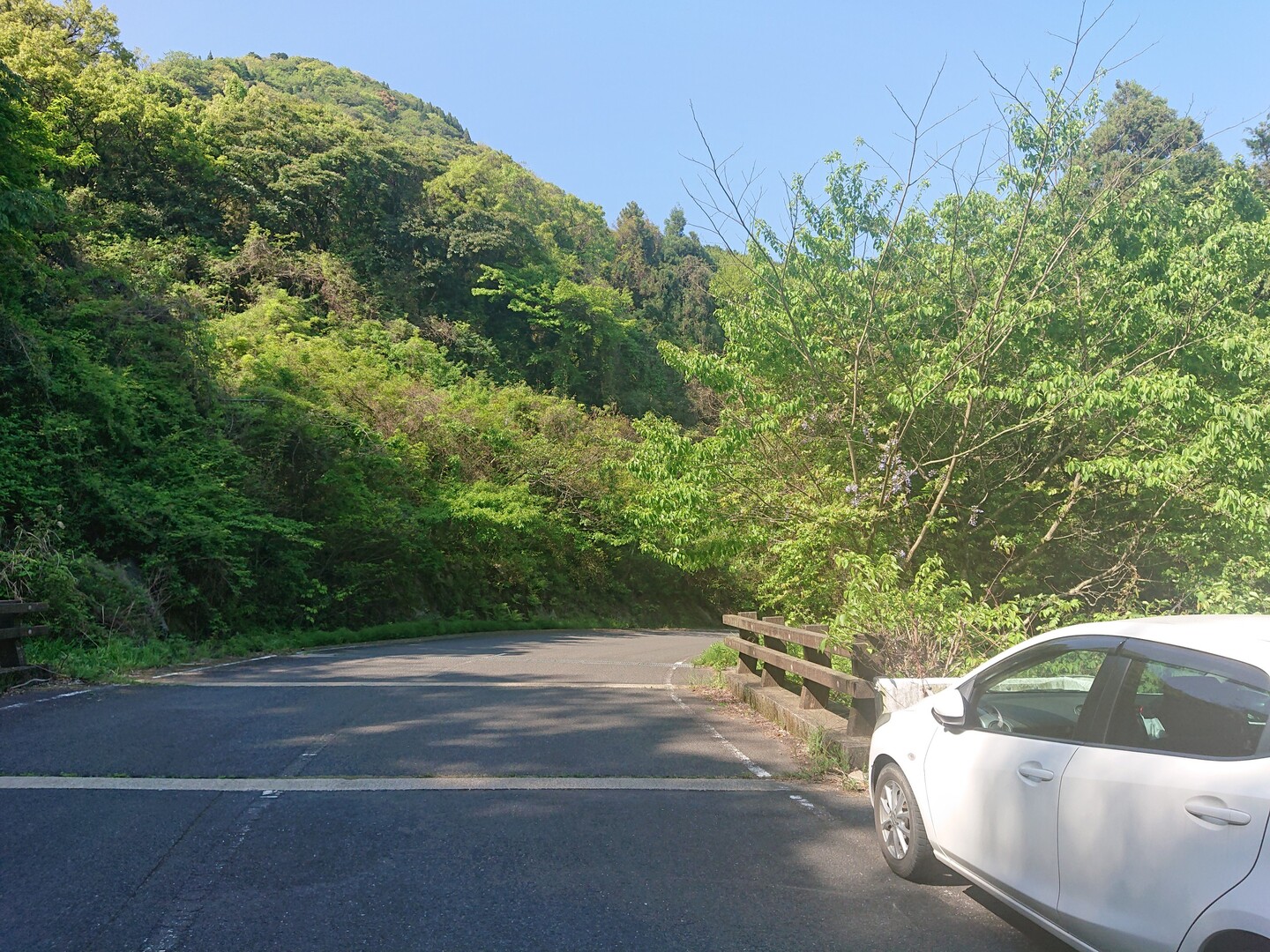 八面山 新ルート開拓中 / Haroldさんの八面山の活動データ | YAMAP / ヤマップ