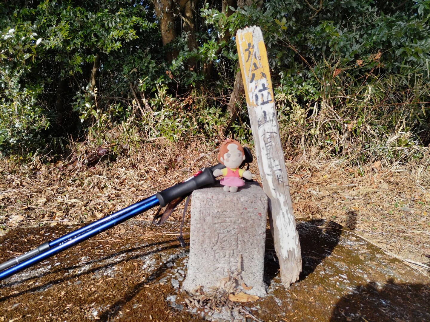 山頂🅿️3は、九六位山😁 / yanさんの九六位山の活動データ | YAMAP / ヤマップ
