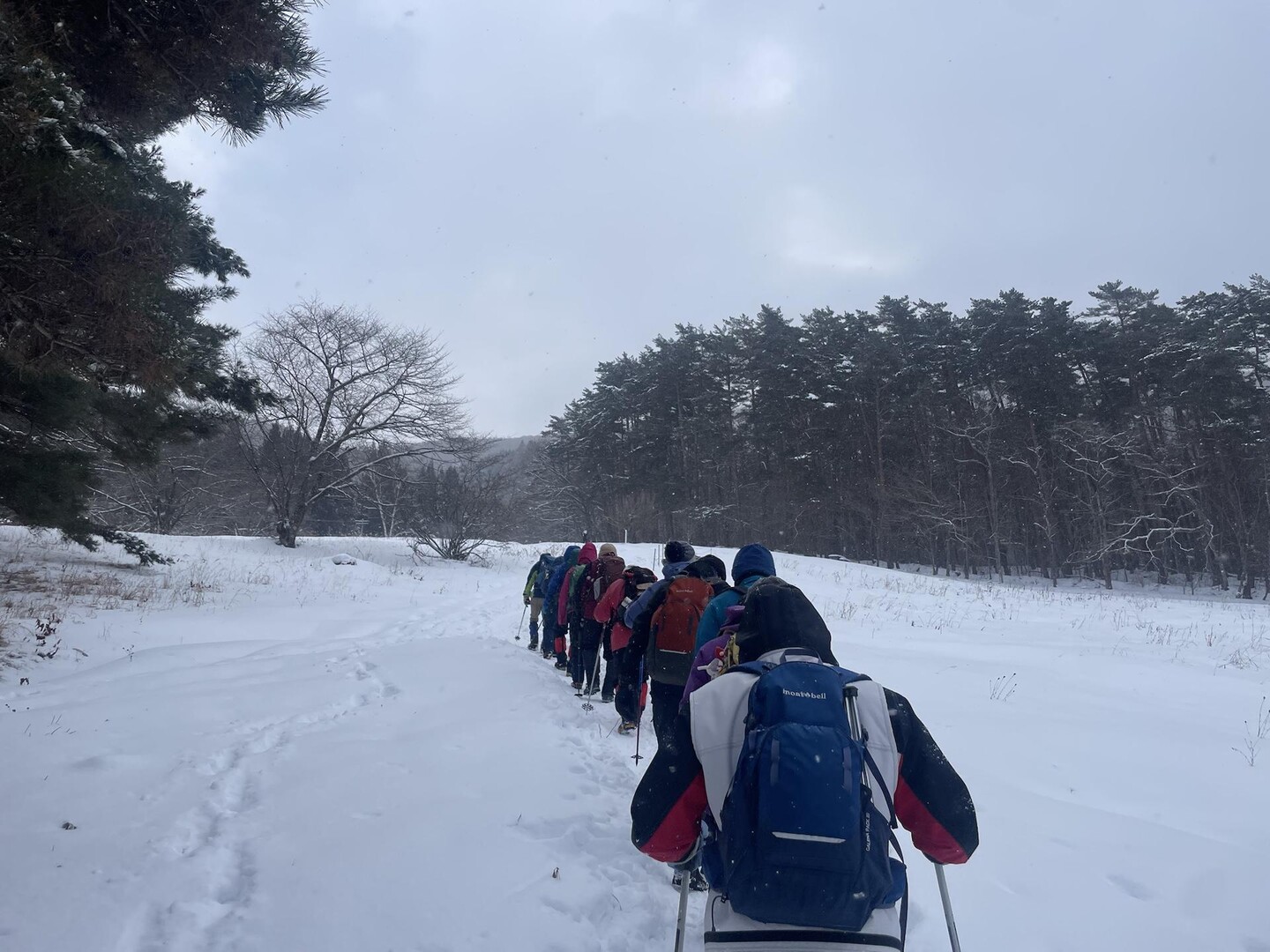 R7.1.4 新年一発目は姫神山 / ハルキさんの姫神山の活動データ | YAMAP / ヤマップ