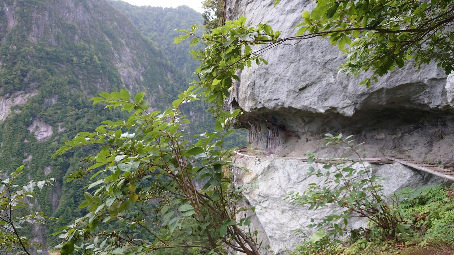 Sugi Sugiのページ | YAMAP / ヤマップ