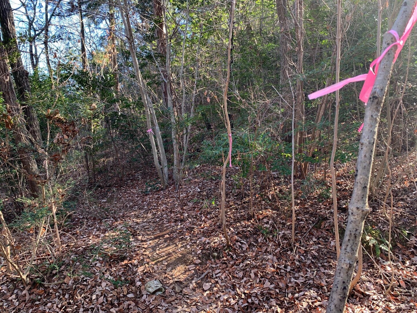 oioiさんの投稿したフィールドメモ | YAMAP / ヤマップ