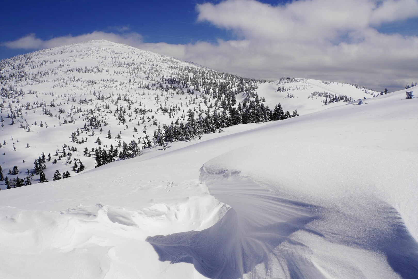 石森・森吉山_3月の森吉さん_まだ深い雪 / shunさんの森吉山の活動データ | YAMAP / ヤマップ