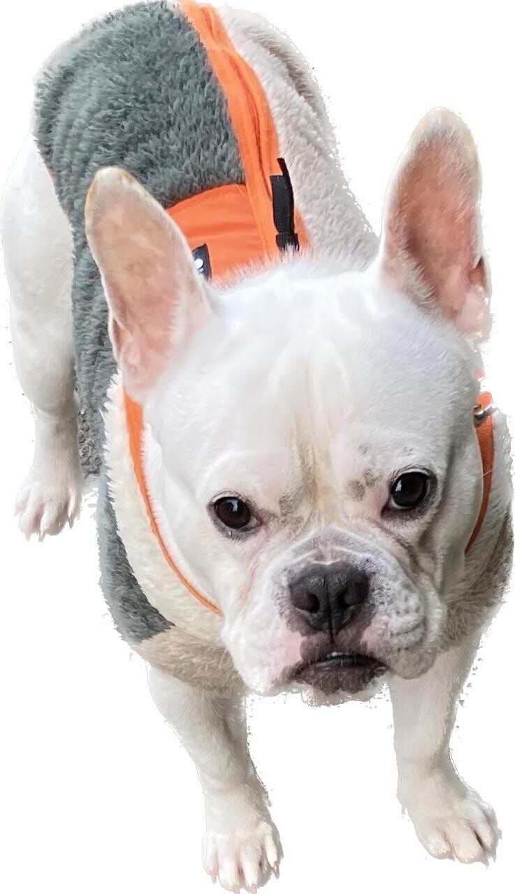 トラウトバムKのページ | YAMAP / ヤマップ