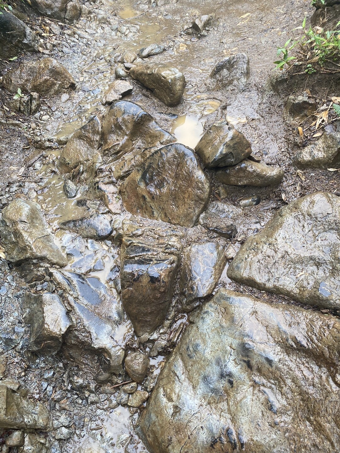 Moonkeyさんの投稿したフィールドメモ | YAMAP / ヤマップ