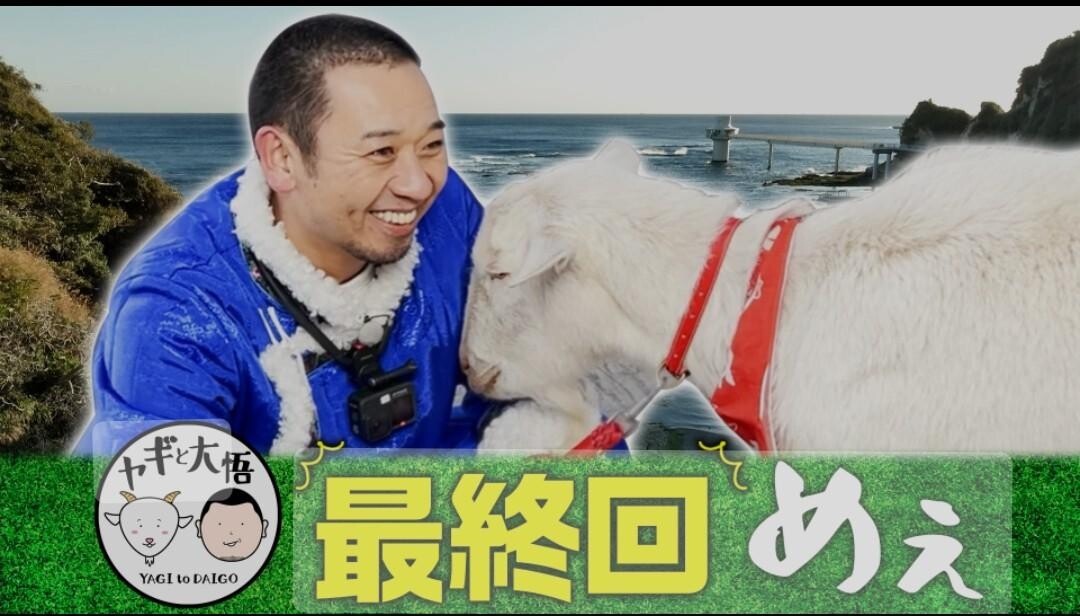 ショック😱⤵️⤵️ 『ヤギと大悟』がい... / 天ぷらケンジJyJyさんのモーメント | YAMAP / ヤマップ