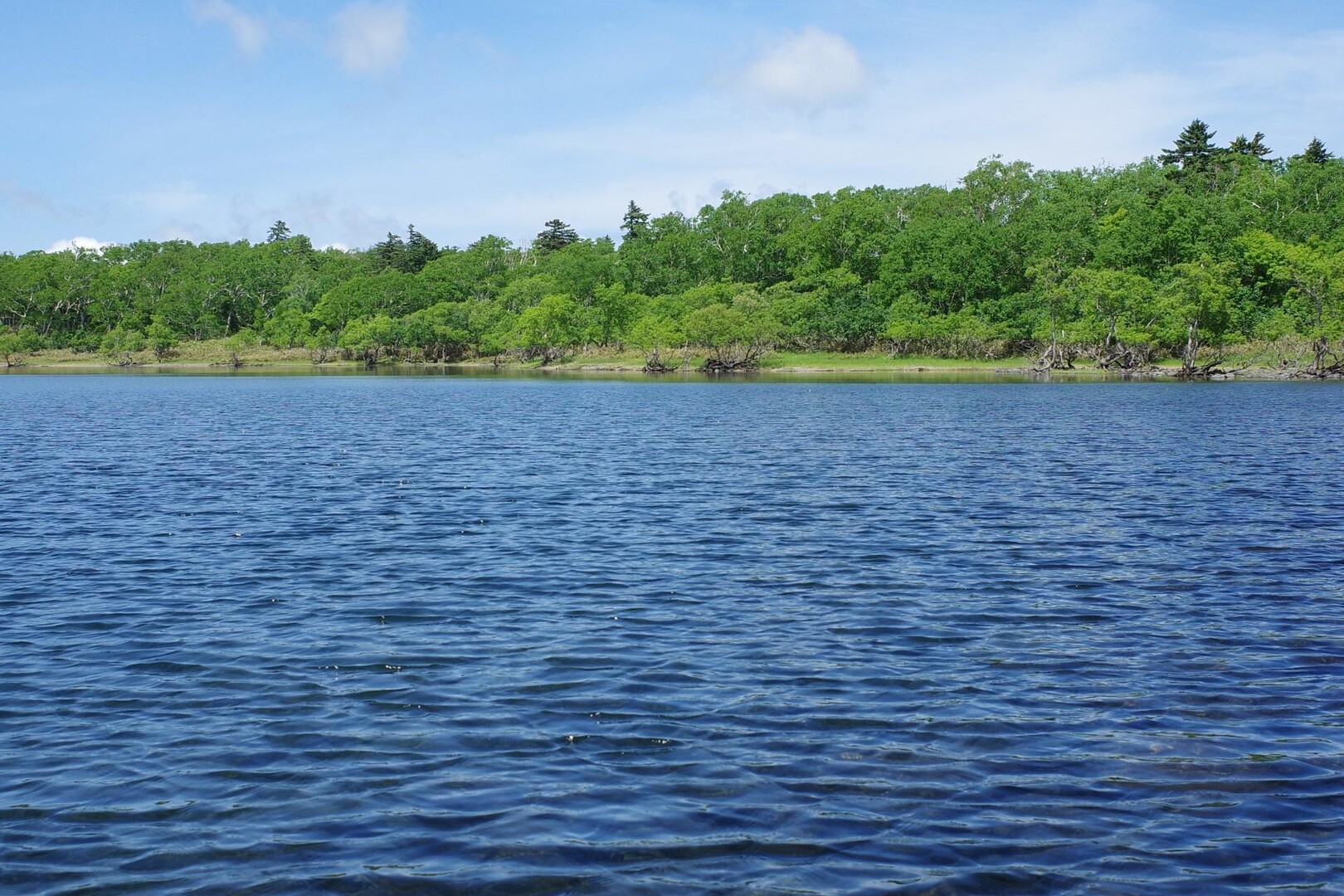 空沼岳 / Okita Shimaoさんの札幌岳・空沼岳の活動データ | YAMAP / ヤマップ