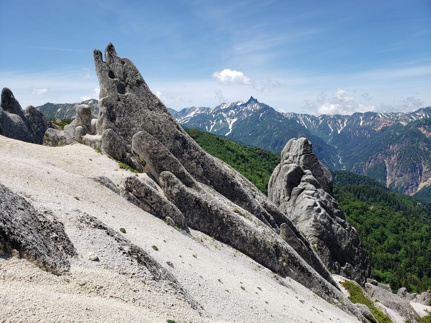 燕岳・花の祭典に名峰展覧会·絶好！ / iSleepさんの燕岳・餓鬼岳・唐沢岳の活動日記 | YAMAP / ヤマップ