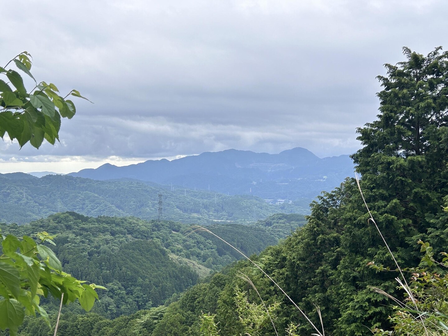 林道歩きで楽get三日月山 / メイリさんの三国山の活動データ | YAMAP / ヤマップ