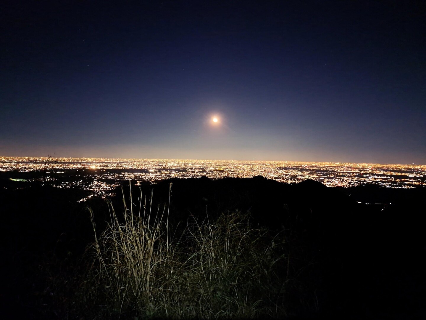 夜行 478m圏峰・大久保山・景信山・逆沢の頭 / ジオン公告に栄光あれさんの高尾山・陣馬山・景信山の活動データ | YAMAP / ヤマップ