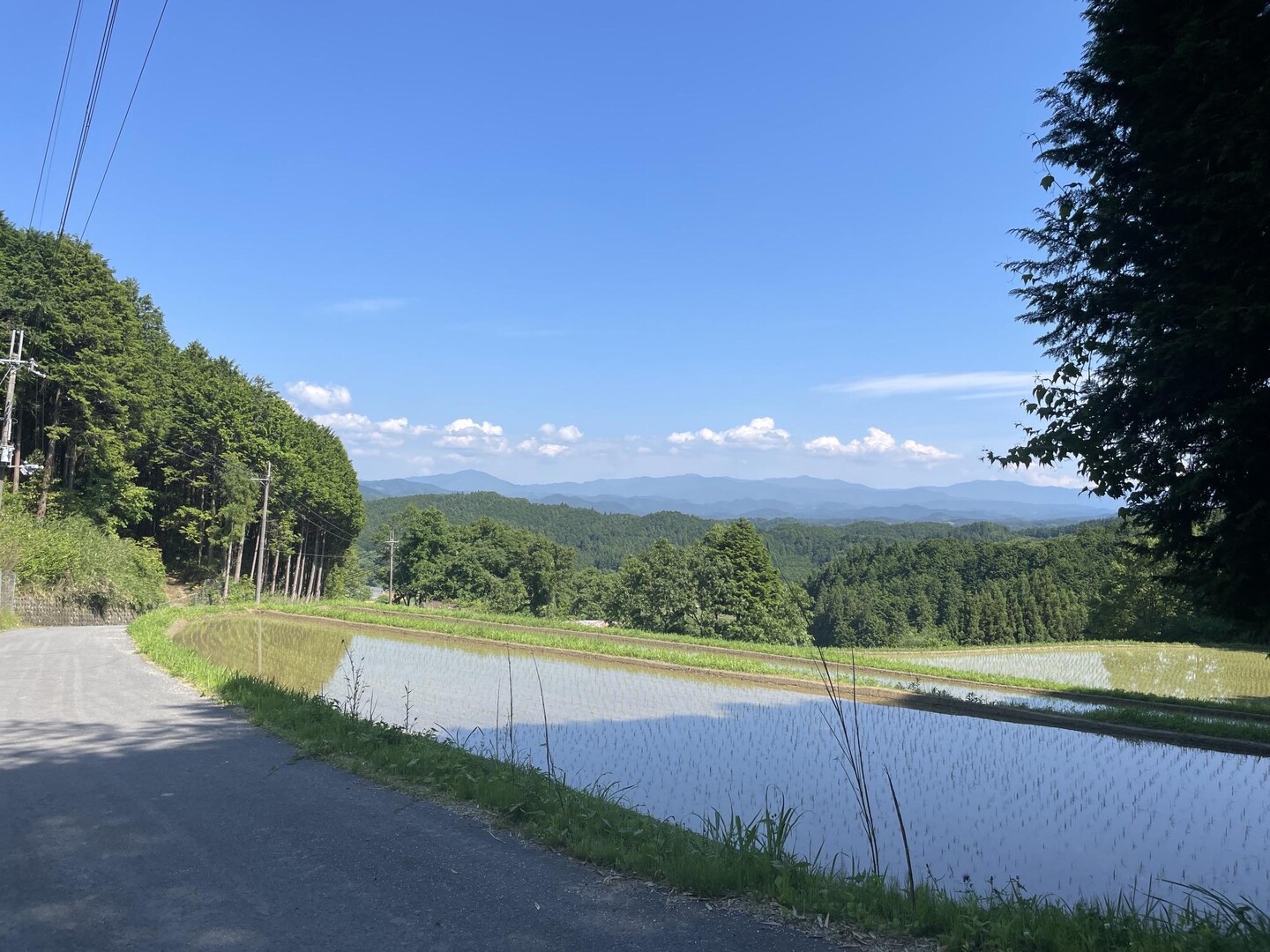 【奈百90】思いがけずきれいな山でした（城山ピストン） / persさんの外鎌山の活動データ | YAMAP / ヤマップ