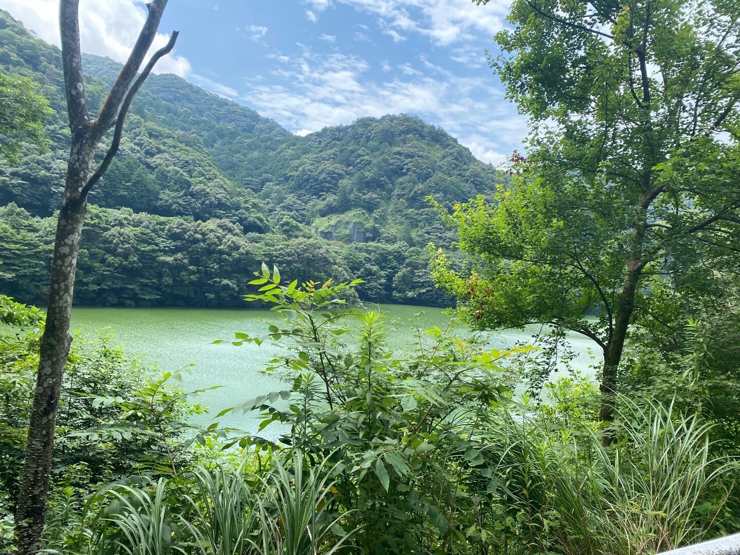 牧ノ山・牧II峰（青牧山） / スローライフさんの黒髪山・青螺山の活動データ | YAMAP / ヤマップ