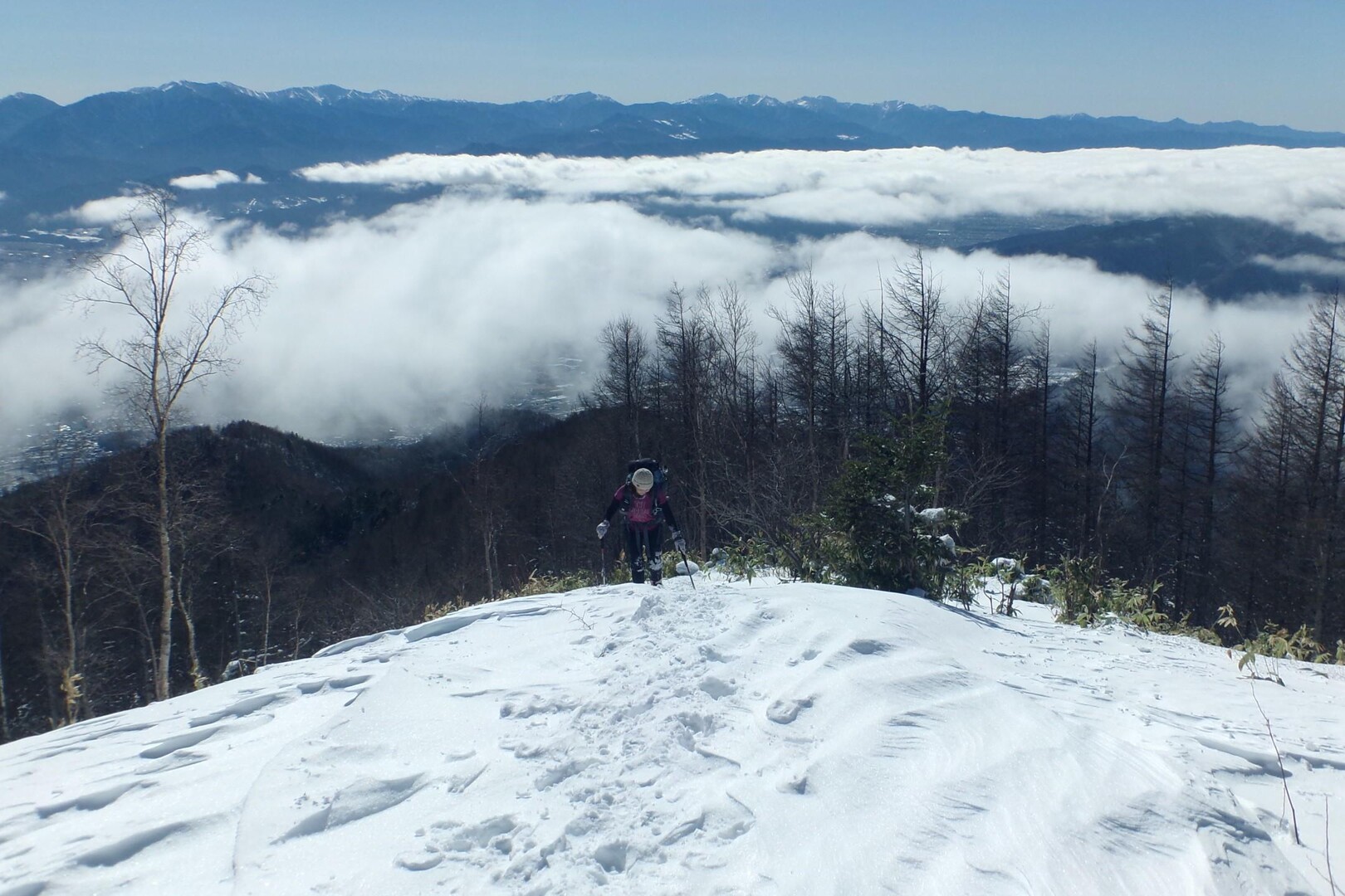 中央アルプス前衛、経ヶ岳八合目まで / OFFICE 岳さんの経ヶ岳・坊主岳の活動日記 | YAMAP / ヤマップ