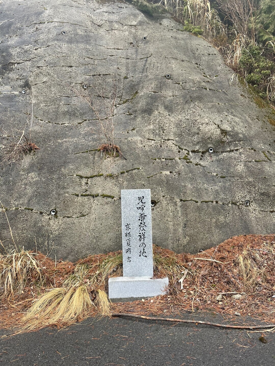 徳島250名山 水無山と大久保峰 / Eriさんの国見山の活動データ | YAMAP / ヤマップ