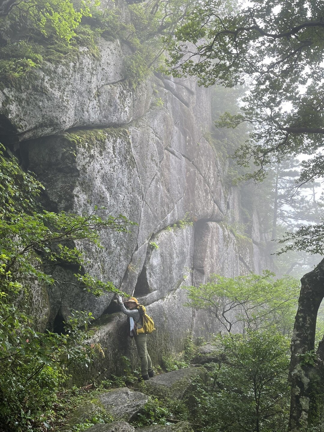 宝満山はやおいかん💦 / hiyoさんの宝満山・三郡山・若杉山の活動データ | YAMAP / ヤマップ