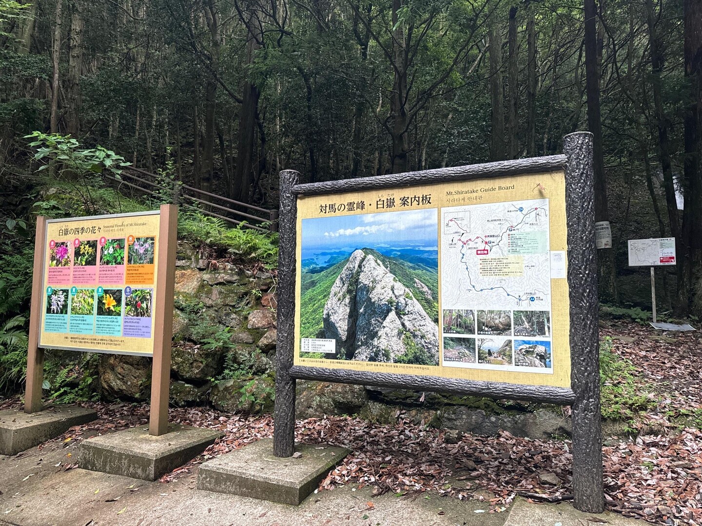 白嶽 500座到達 / コパンダさんの対馬 南エリア（厳原町・美津島町・豊玉町）の活動データ | YAMAP / ヤマップ