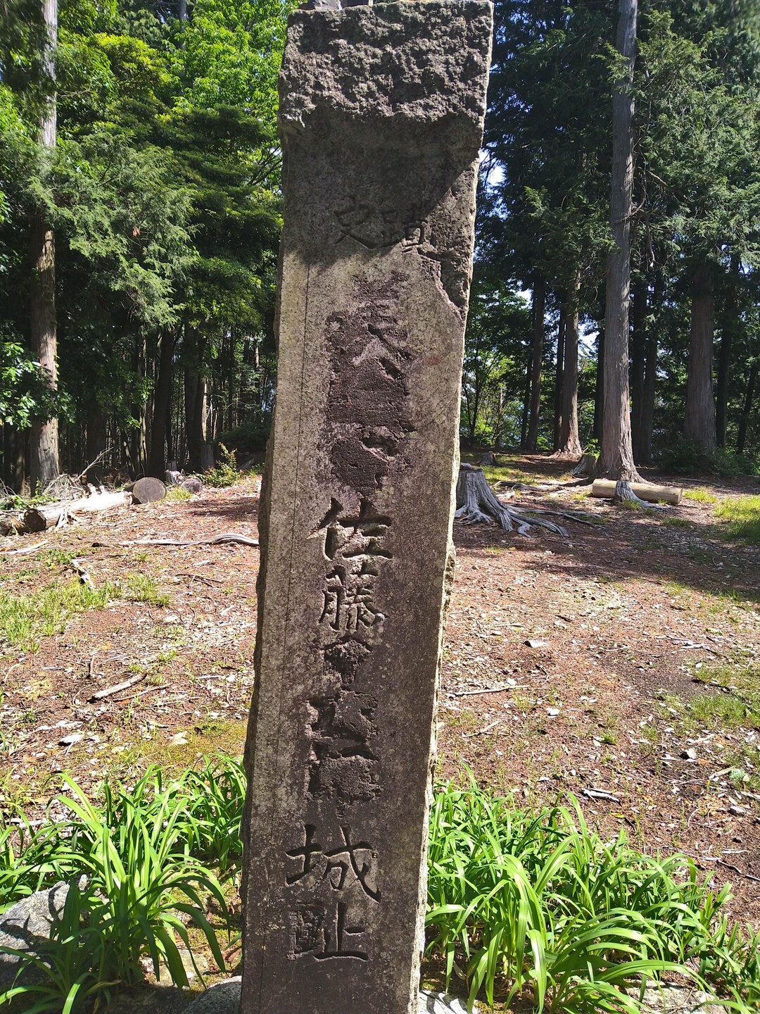 古城山 / koniさんの古城山の活動データ | YAMAP / ヤマップ